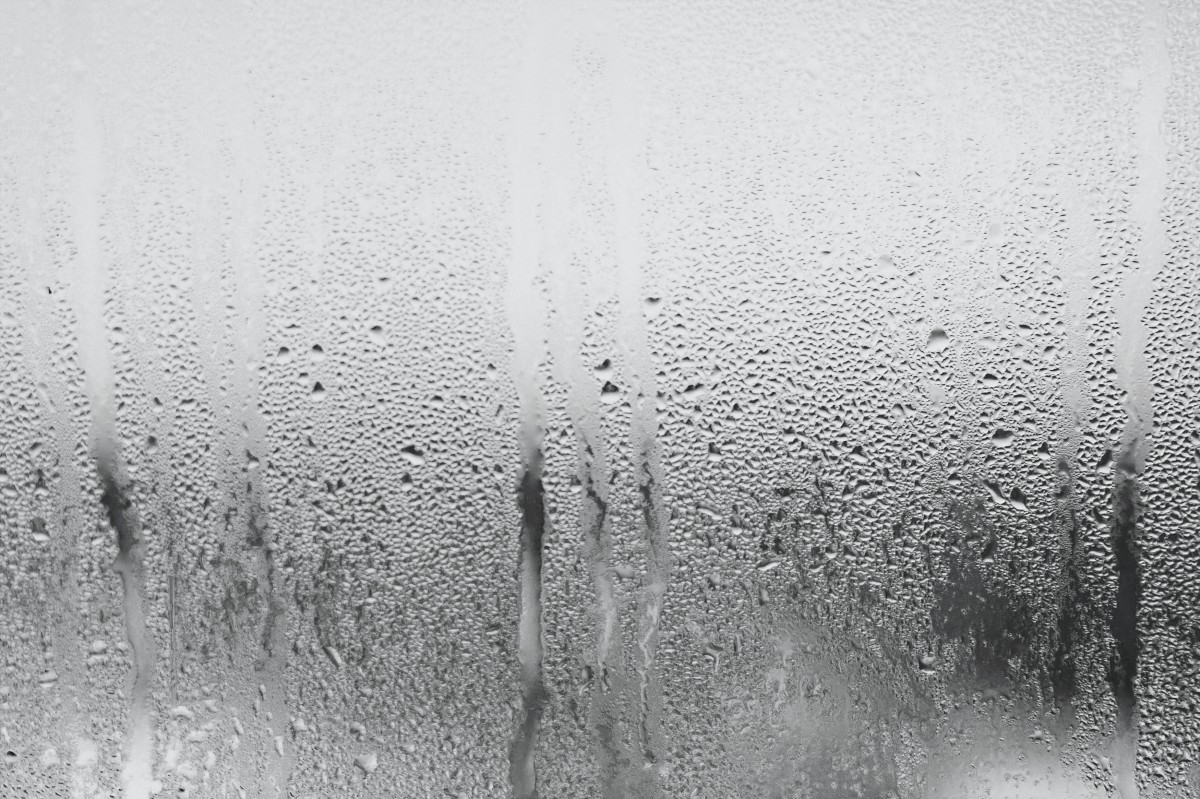 How Humid Should My House Be: A Homeowners Guide