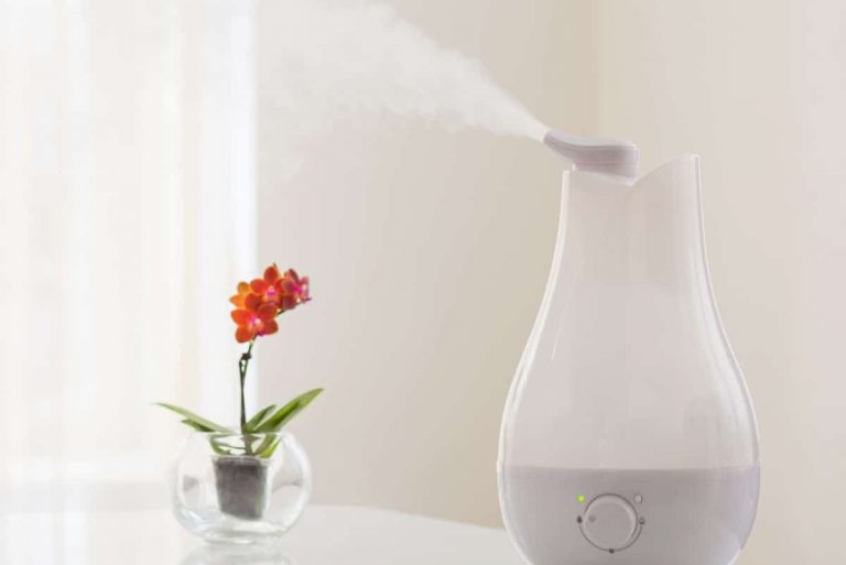 How Humid Should My House Be: A Homeowners Guide