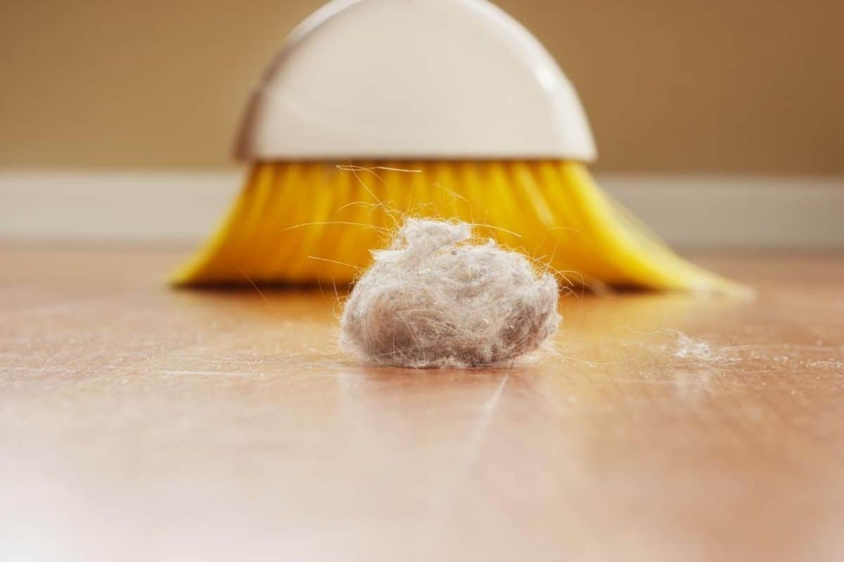 9 Reasons Why Your House Is So Dusty