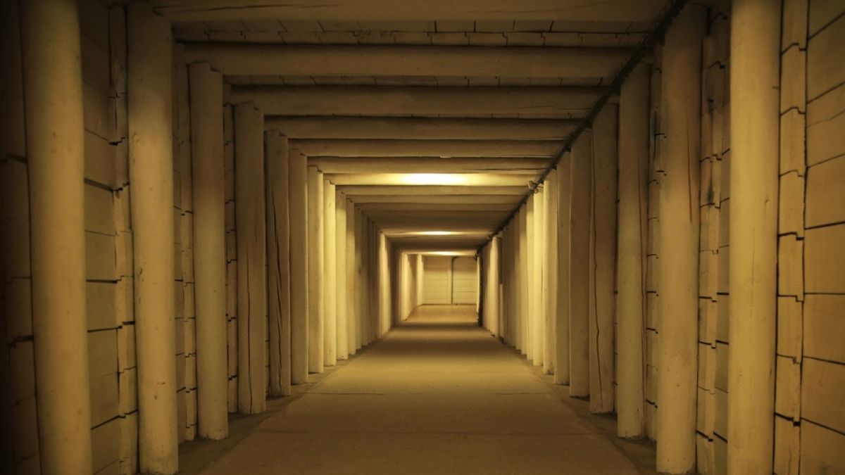 Why Are Basements Scary?