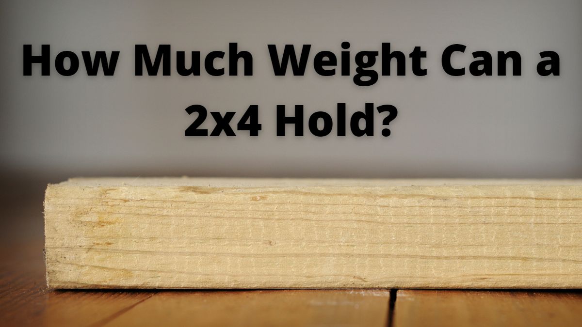 How Much Weight Can A 2x4 Hold 