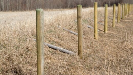 How Far Apart Should Fence Posts Be?