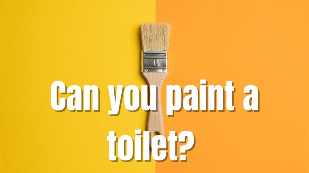 Can You Paint A Toilet 