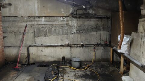 Why Do Basements Smell Musty?